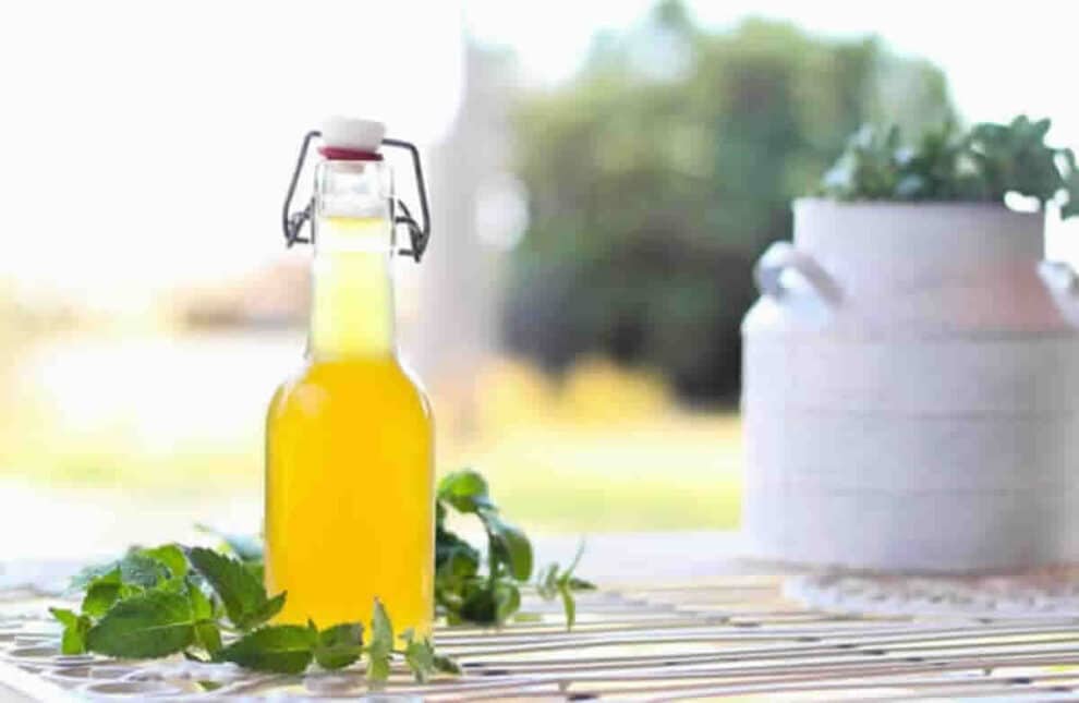 Sirop de menthe maison rafraîchissant et naturel